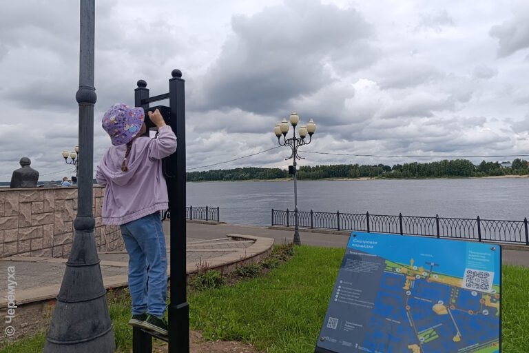 Для Рыбинска закупили три стереоскопа. Почему не все могут в них ...